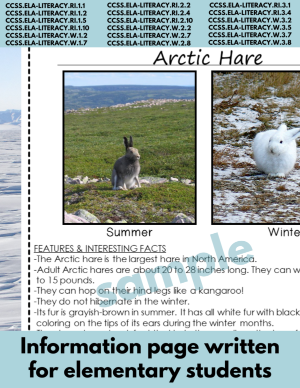 Arctic Animal Reports Arctic Hare informational article non-fiction ...