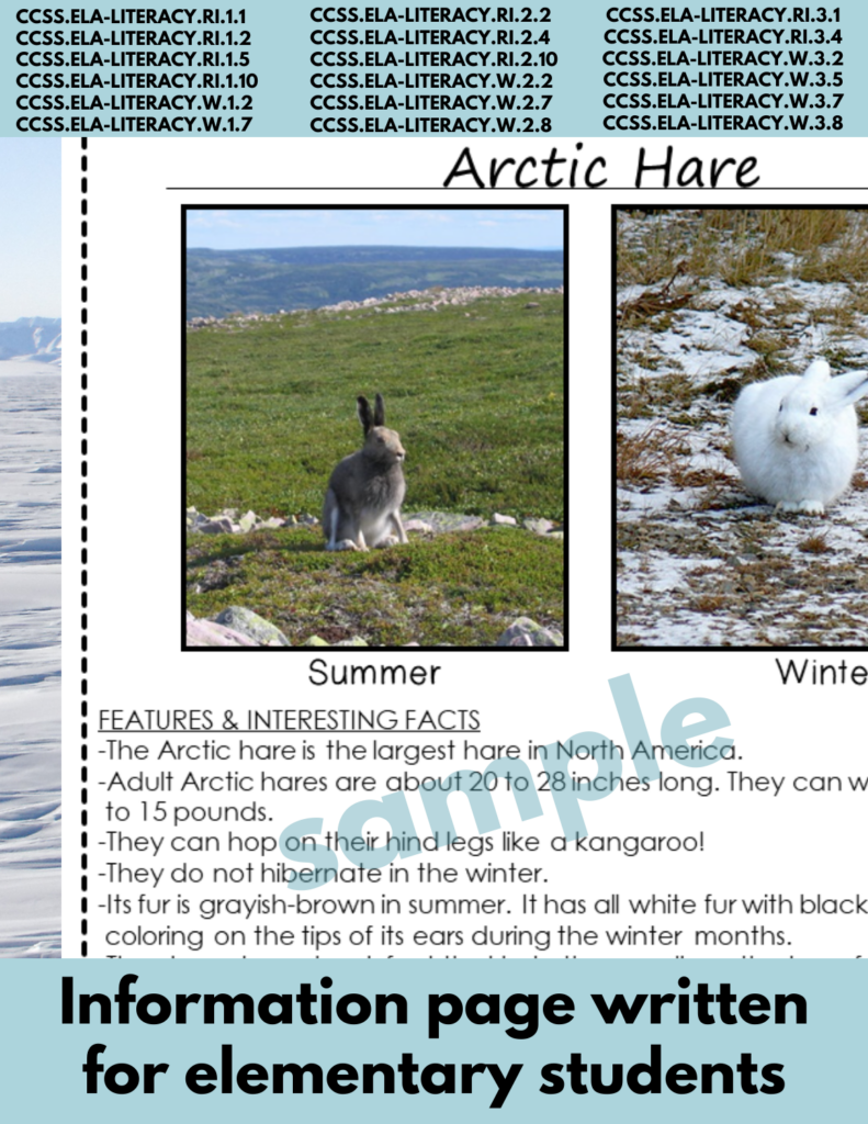 Arctic Animal Reports Arctic Hare informational article non-fiction ...