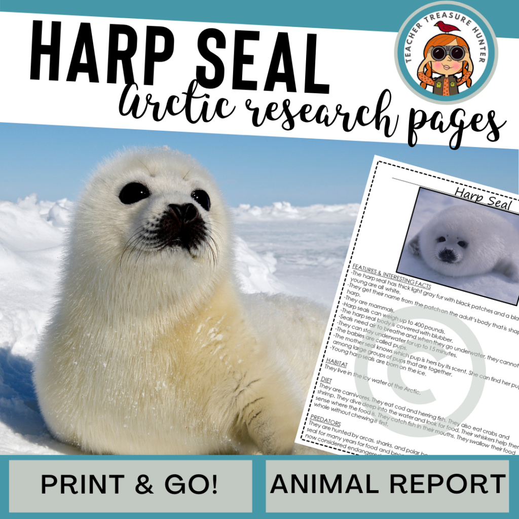 Harp Seal informational article for writing animal reports 1st grade ...