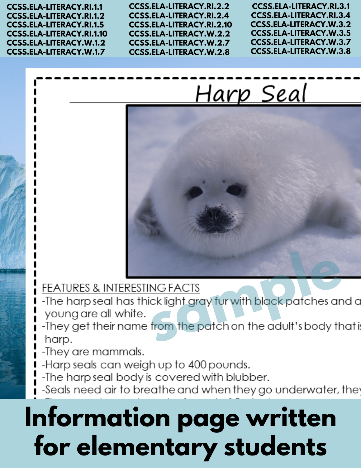 Harp Seal informational article for writing animal reports 1st grade ...
