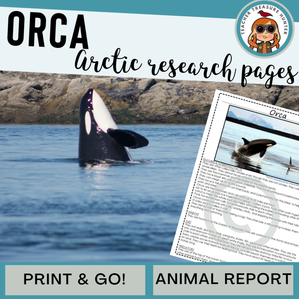 Orca Arctic Animal Research Pages for animal research paper | Made By ...