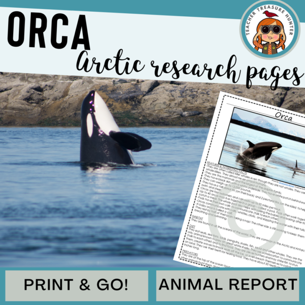 Orca Arctic Animal Research Pages for animal research paper | Made By ...