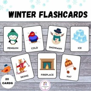 Winter Vocabulary Flashcards / Winter Themed Flashcards | January ...