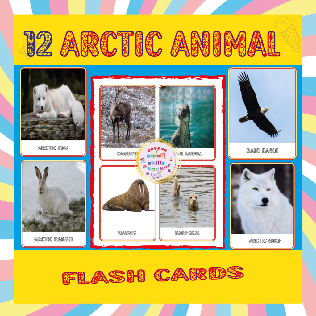 12 Arctic Animal Flash Card | Made By Teachers