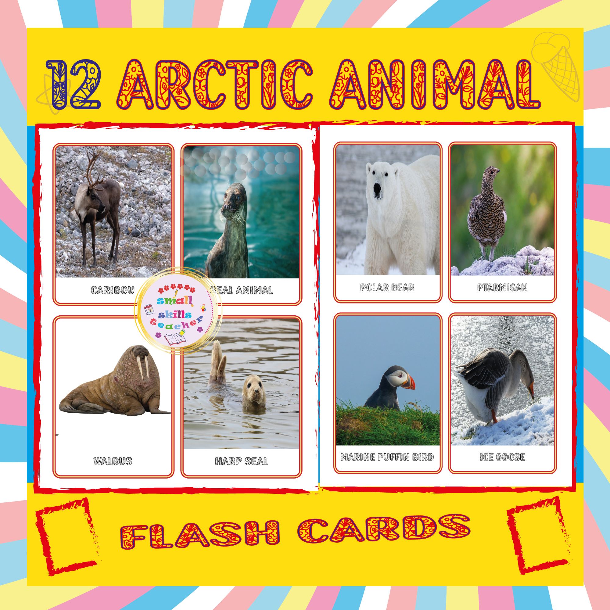 12 Arctic Animal Flash Card | Made By Teachers