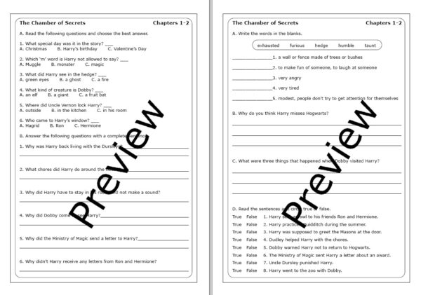 Harry Potter and the Chamber of Secrets worksheets | Made By Teachers
