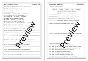 Harry Potter and the Chamber of Secrets worksheets | Made By Teachers