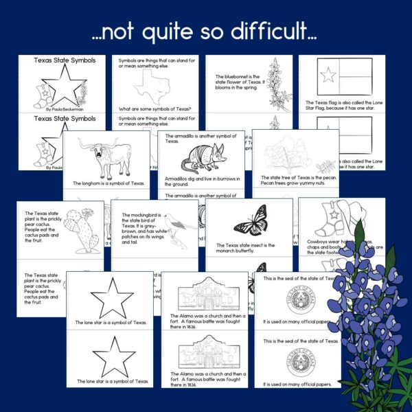Texas State Symbols Book Differentiated Guided Readers for Young Texans ...