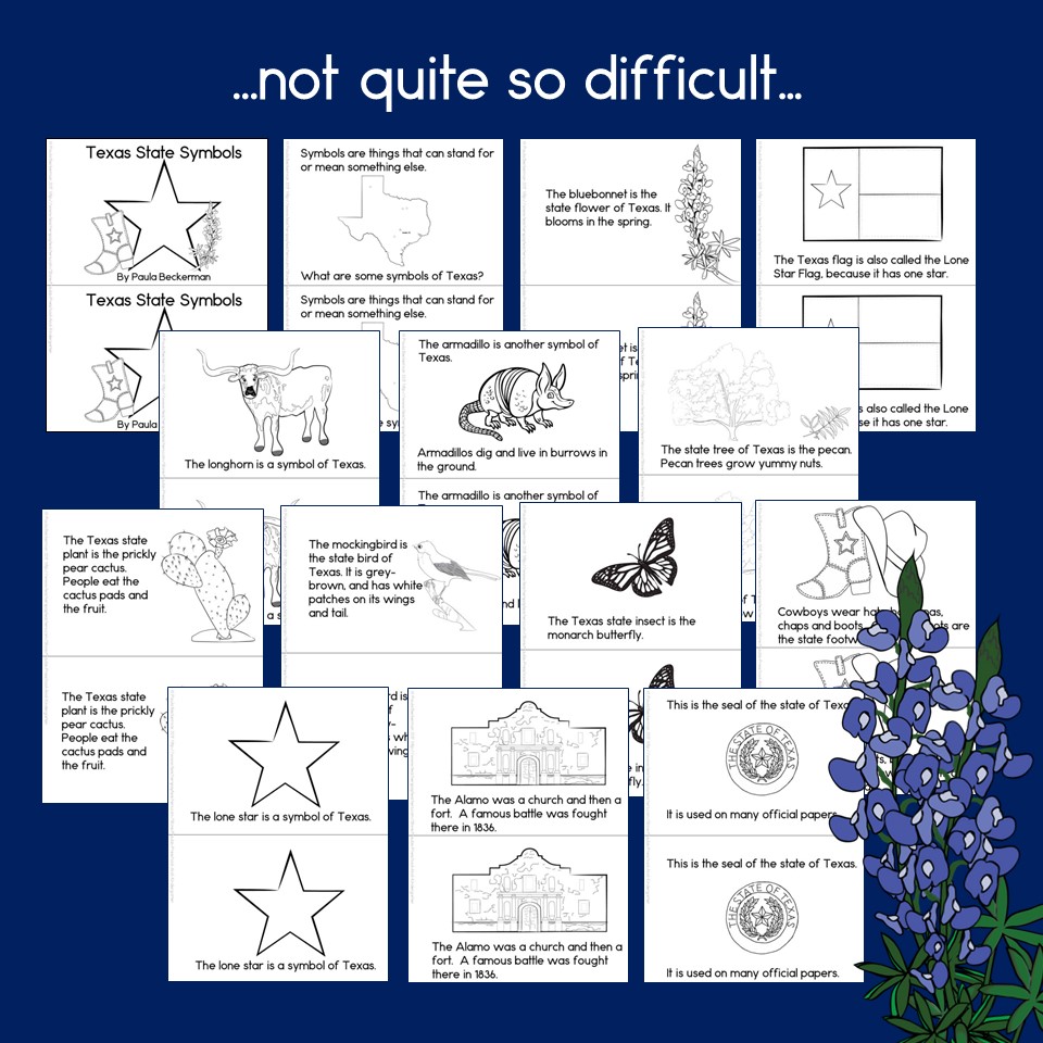 Texas State Symbols Book Differentiated Guided Readers for Young Texans ...