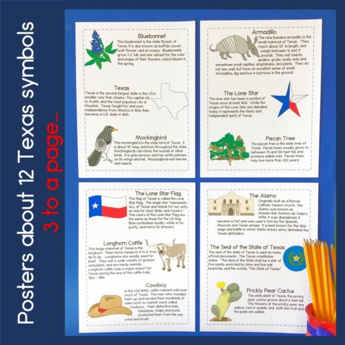 Texas State Symbols Bingo with Symbols of Texas Informational Posters ...