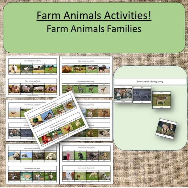 Farm Animals Activities Montessori Homeschool Preschool Education ...