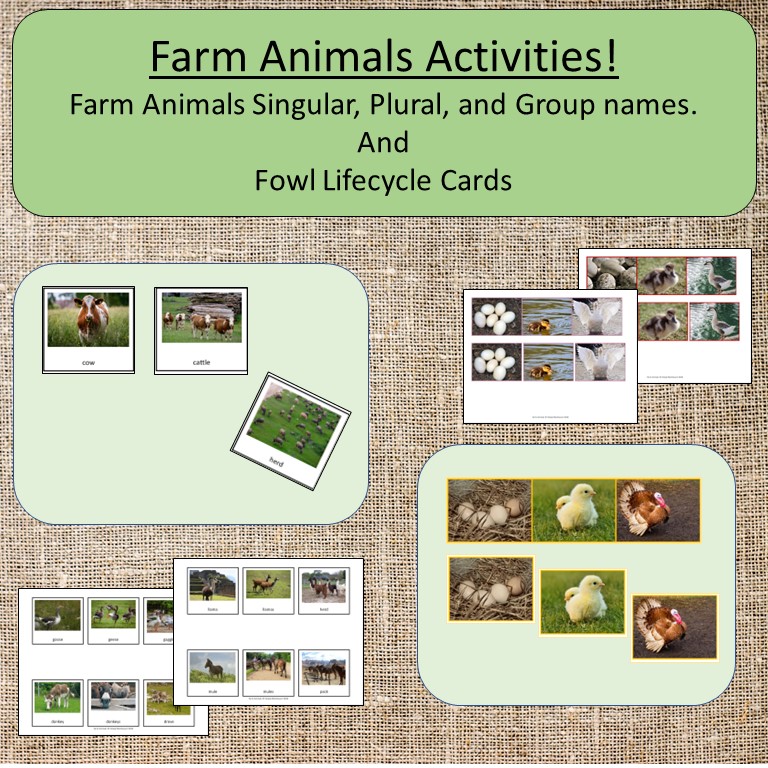 Farm Animals Activities Montessori Homeschool Preschool Education ...
