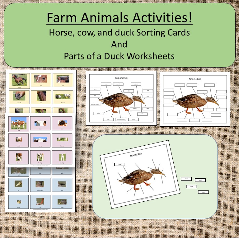 Farm Animals Activities Montessori Homeschool Preschool Education ...