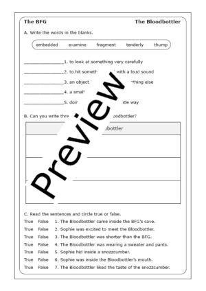Roald Dahl "The BFG" worksheets | Made By Teachers