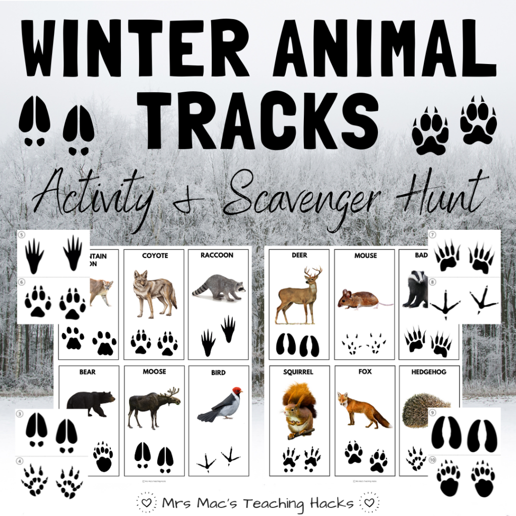 Winter Animal Tracks Activity & Scavenger Hunt | Made By Teachers