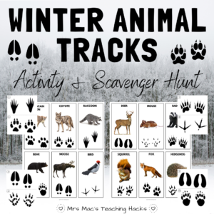 Winter Animal Tracks Activity & Scavenger Hunt | Made By Teachers