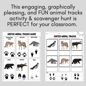 Winter Animal Tracks Activity & Scavenger Hunt | Made By Teachers