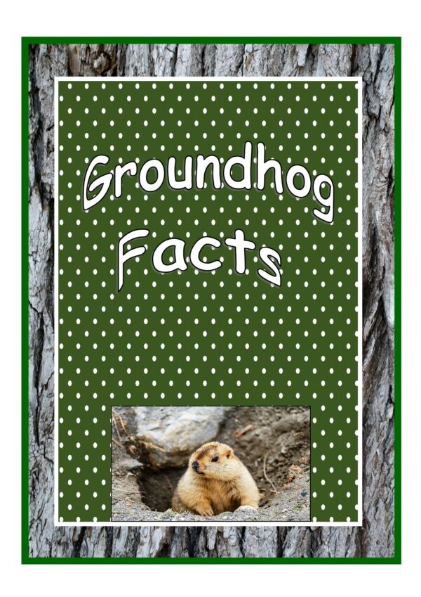 Groundhog Facts Reading Comprehension | Made By Teachers