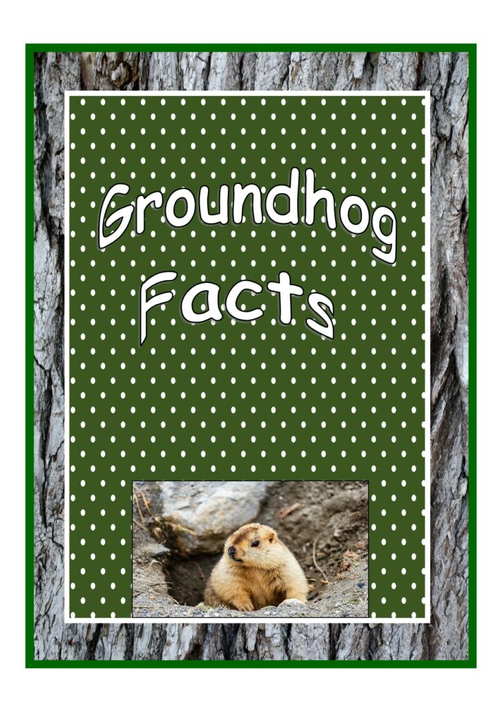 Groundhog Facts Reading Comprehension | Made By Teachers