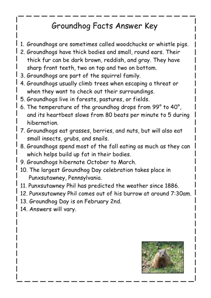 Groundhog Facts Reading Comprehension | Made By Teachers