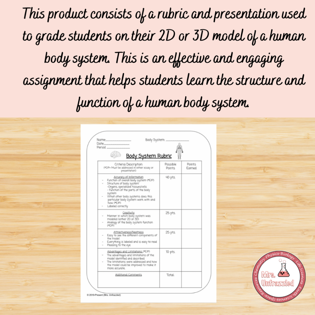 Human Body Systems Rubric | Made By Teachers