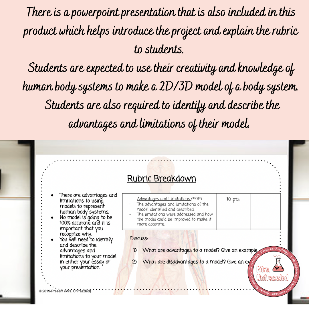 Human Body Systems Rubric | Made By Teachers