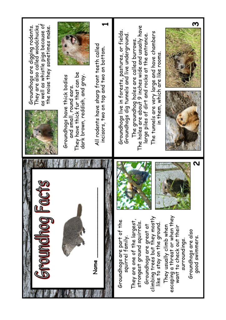 Substitute Groundhog Main Idea Retell Summarize Character Traits | Made ...