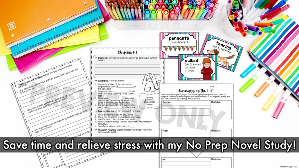 Otherwise Known As Sheila the Great Novel Study | Comprehension with ...