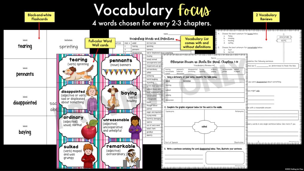 Otherwise Known As Sheila the Great Novel Study | Comprehension with ...