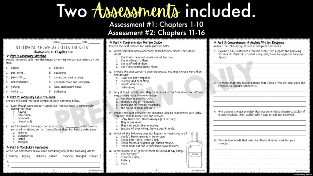 Otherwise Known As Sheila the Great Novel Study | Comprehension with ...