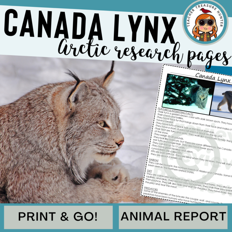 Canada lynx Animal Research Pages for learning about Arctic animals ...