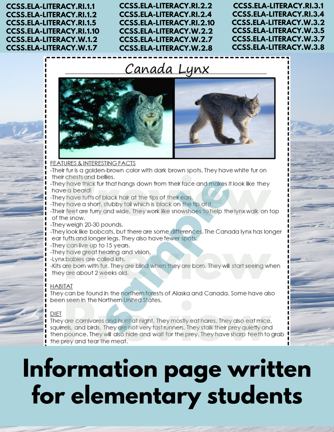 Canada lynx Animal Research Pages for learning about Arctic animals ...