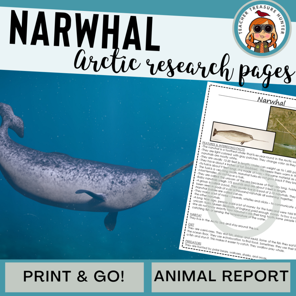 Narwhal Animal Research Pages for learning about Arctic animals | Made ...