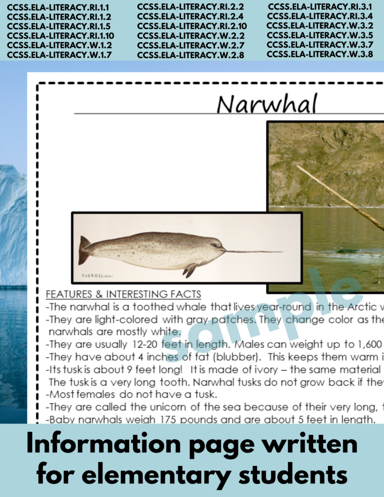 Narwhal Animal Research Pages for learning about Arctic animals | Made ...