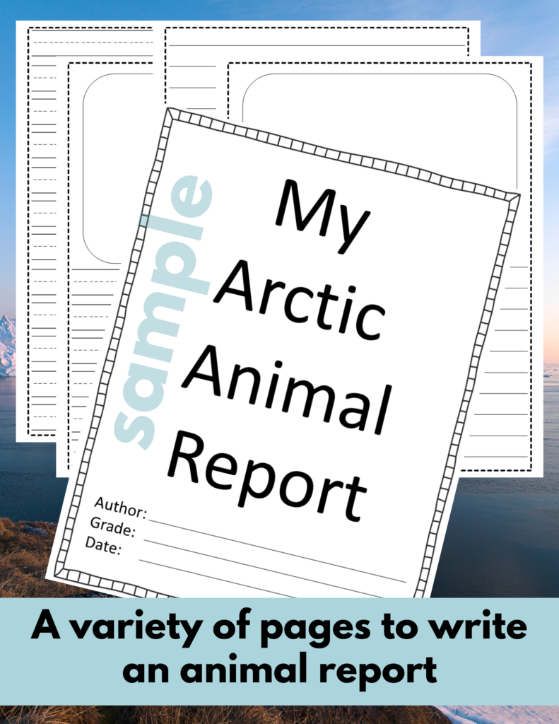 Narwhal Animal Research Pages for learning about Arctic animals | Made ...