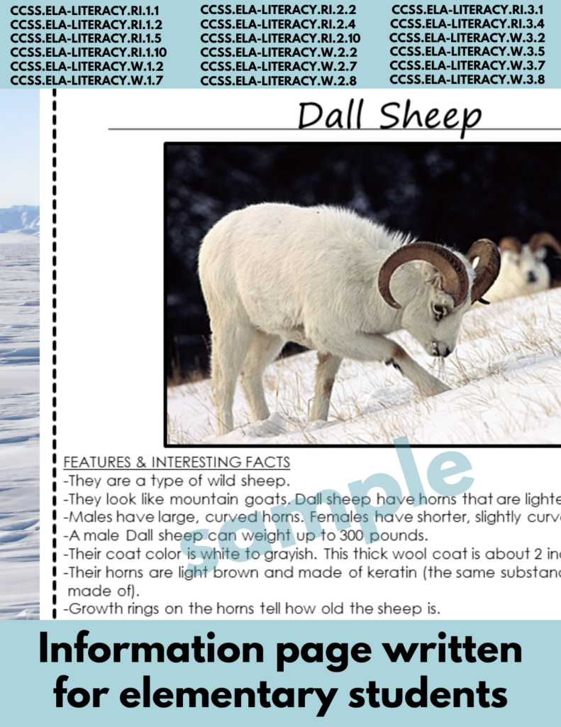 Dall Sheep Animal Research Pages for Arctic Animal reports | Made By ...