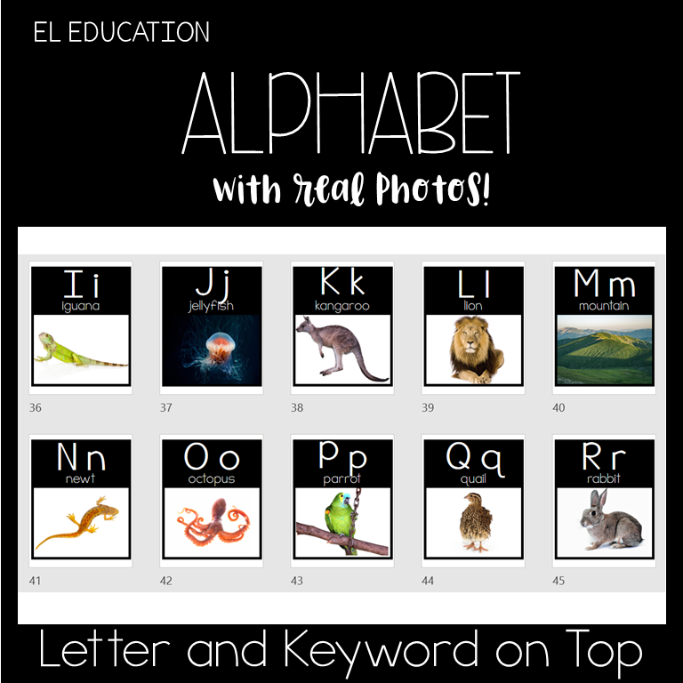 Alphabet Line | Skills Block | Made By Teachers
