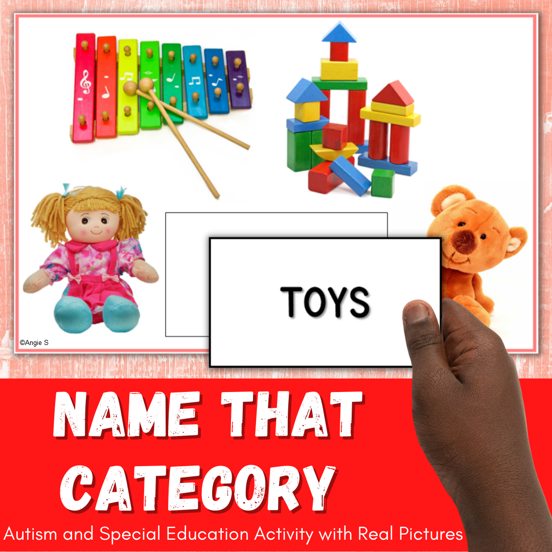 Name That Category for Special Education | Categories Speech Therapy ...