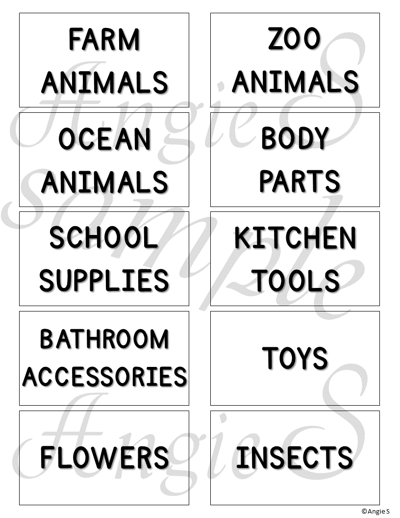 Name That Category for Special Education | Categories Speech Therapy ...