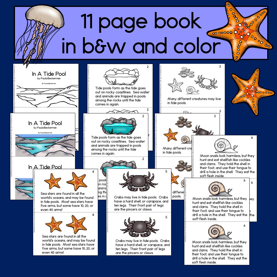 Tide Pools Non-fiction Book Reading Comprehension and Photographs ...