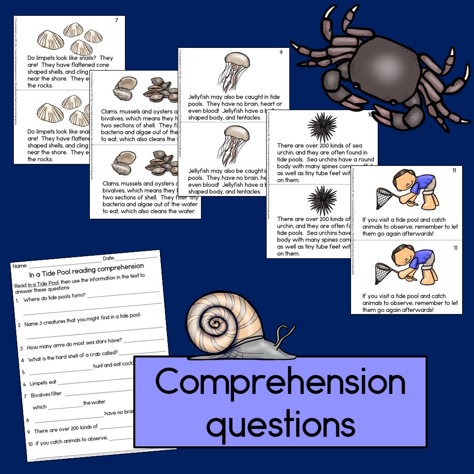 Tide Pools Non-fiction Book Reading Comprehension and Photographs | Made By Teachers
