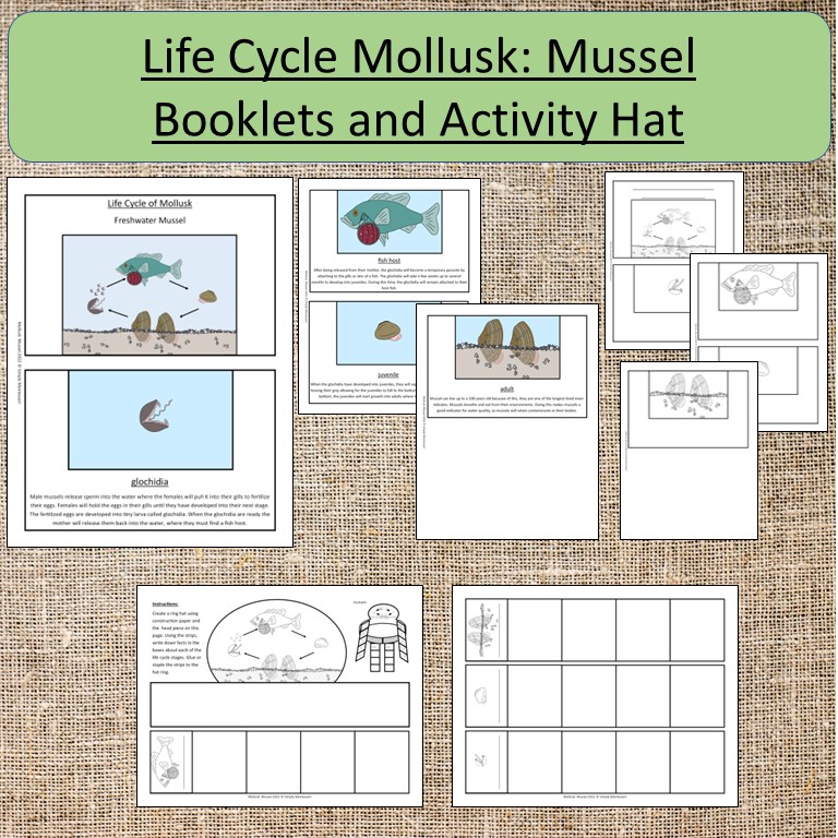 Mollusk: Freshwater Mussel Elementary | Made By Teachers