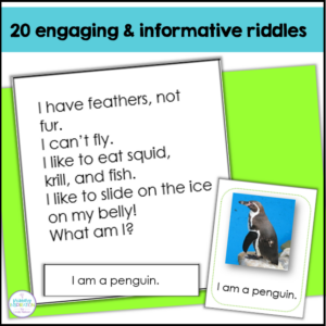Animal Riddle Activities - Habitats, Classes, Characteristics | Made By ...