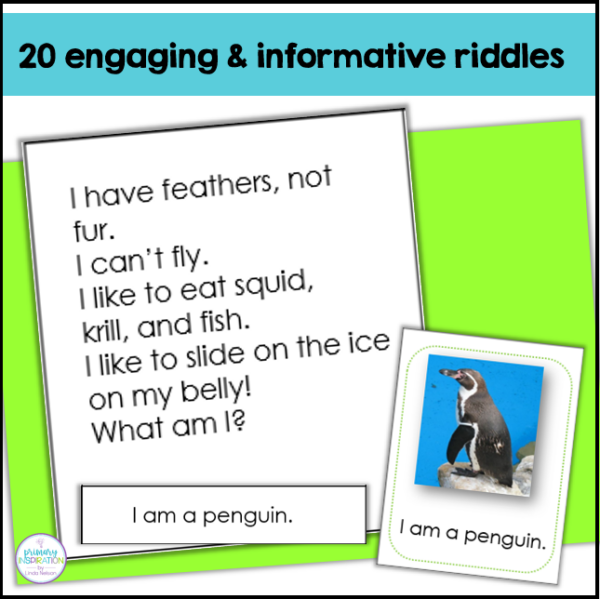 Animal Riddle Activities - Habitats, Classes, Characteristics | Made By ...