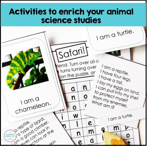 Animal Riddle Activities - Habitats, Classes, Characteristics | Made By ...