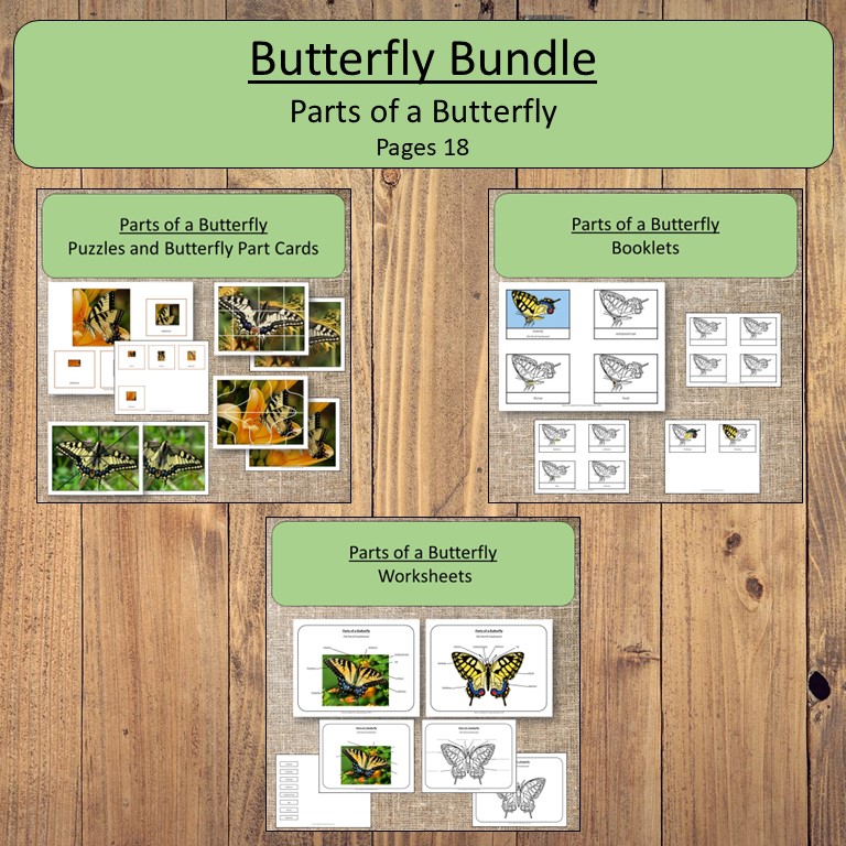Bundle- Butterfly Activities Montessori Science | Made By Teachers