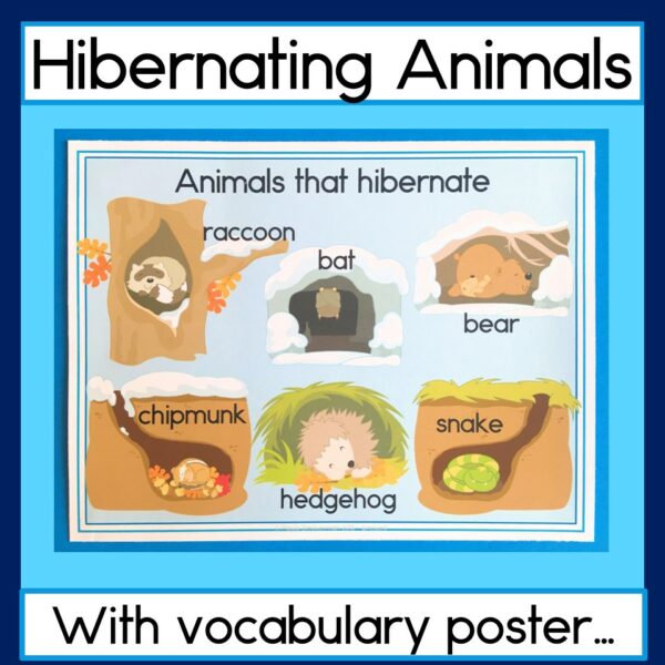 Hibernating Animals Sight Word Sentences Reading Comprehension Writing ...