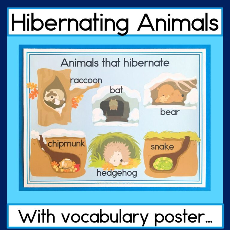 Hibernating Animals Sight Word Sentences Reading Comprehension Writing ...