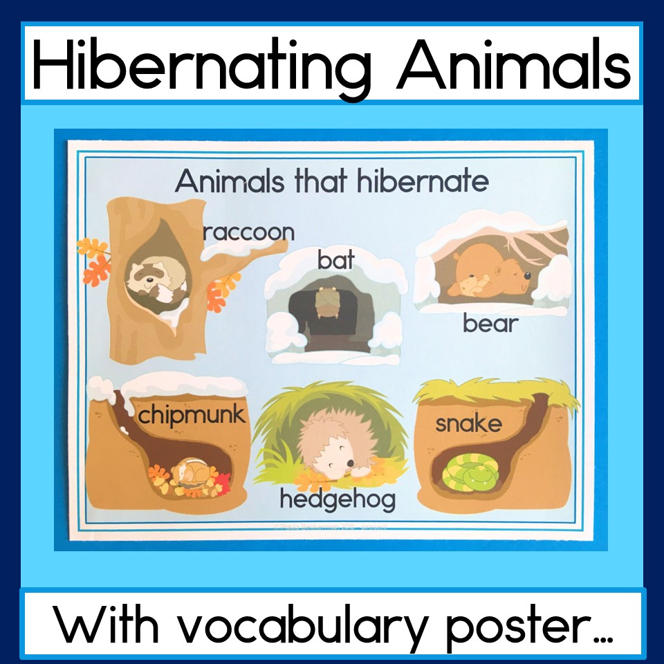Hibernating Animals Sight Word Sentences Reading Comprehension Writing ...
