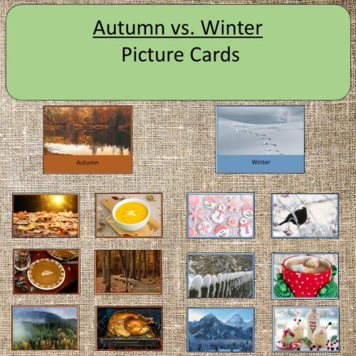 Autumn vs Winter Season Work Montessori Fall | Made By Teachers